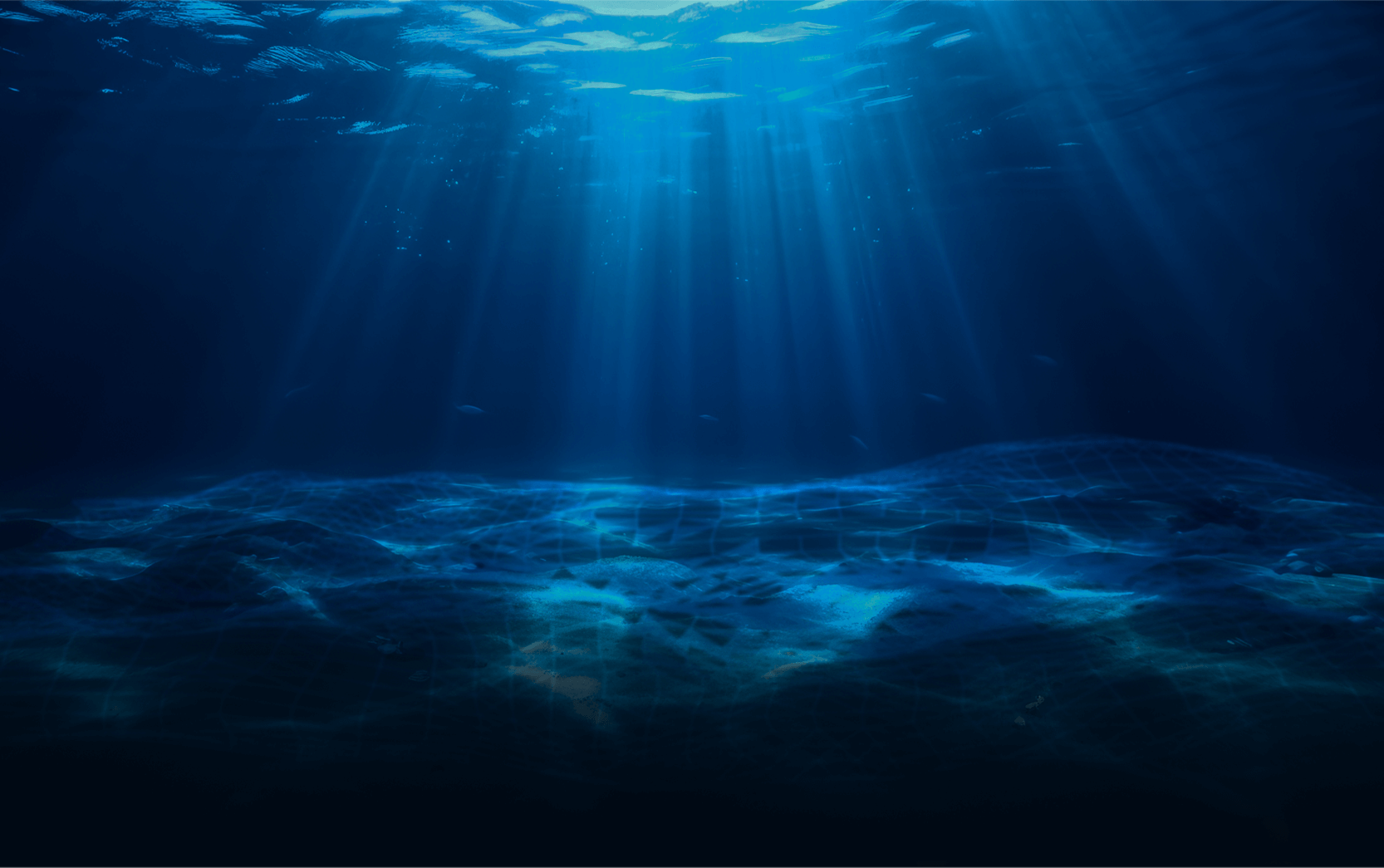 Nightingale Sea Case Study Mind Foundry